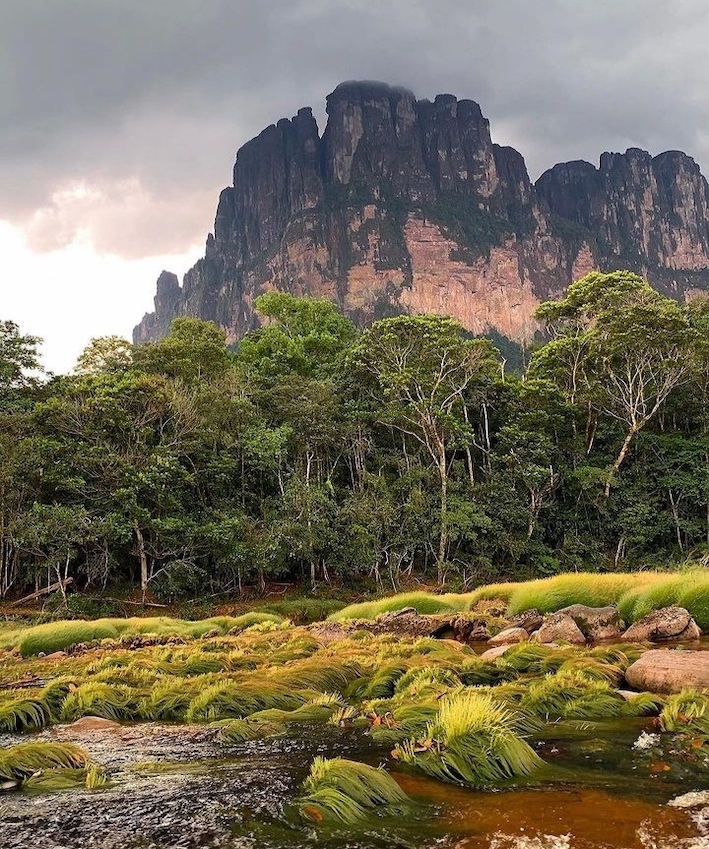 Travel The Guianas - The three Guianas specialist for tours in Suriname ...