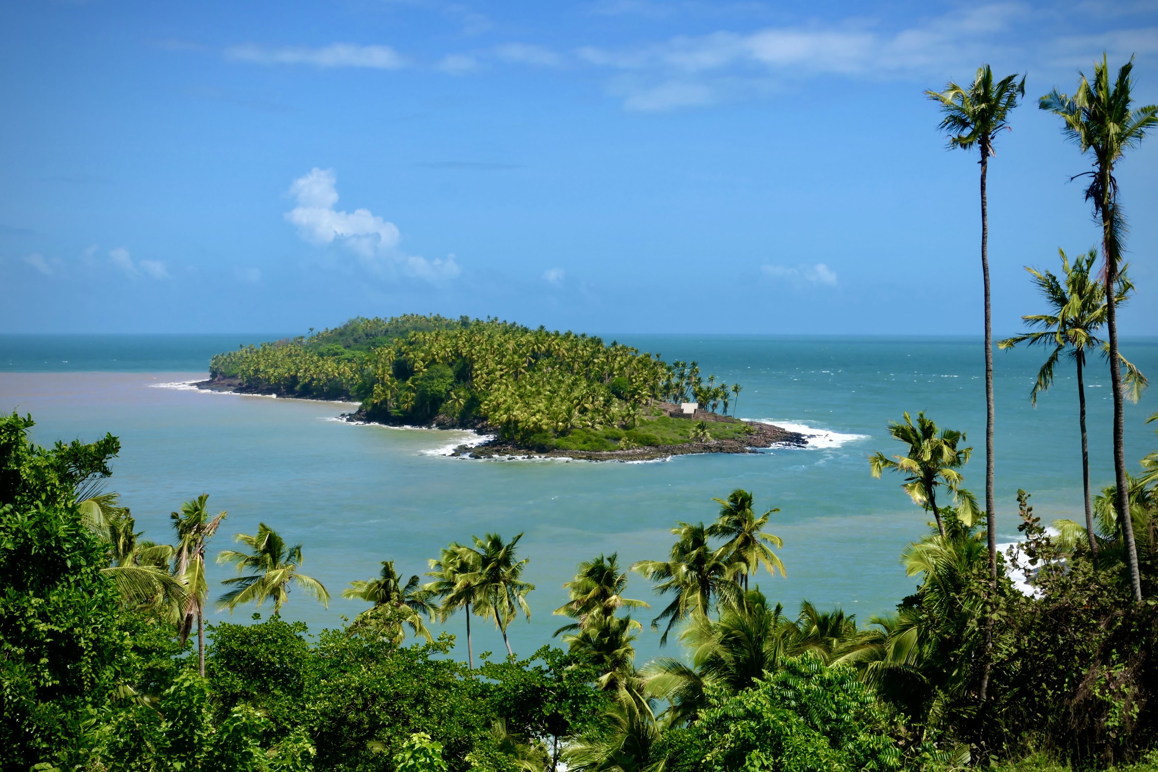 Travel The Guianas - The three Guianas specialist for tours in Suriname ...